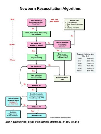 Neonatal (Newborn) Resuscitation - First10EM
