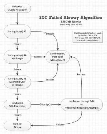 Important Algorithms - First10EM
