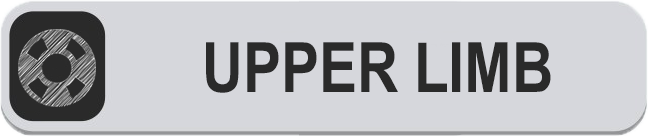 UPPER BUTTON - First10EM