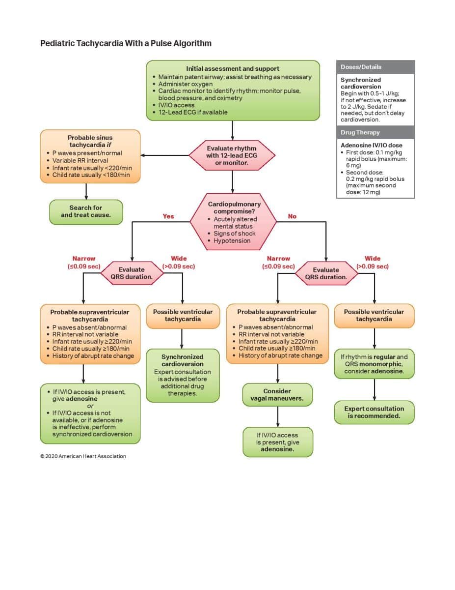 AlgorithmPALS_Tachycardia_200618-page-001 - First10EM